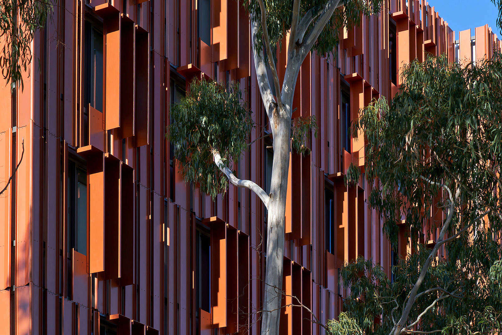 Monash University Gillies Hall | Jackson Clements Burrows